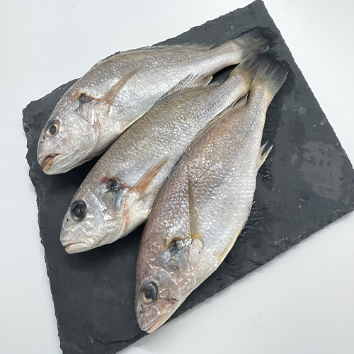 JEJU FROZEN WHITE CROAKER 400GR(14.11oz) X 35PACK/CS Total W’T:30.87LB ...